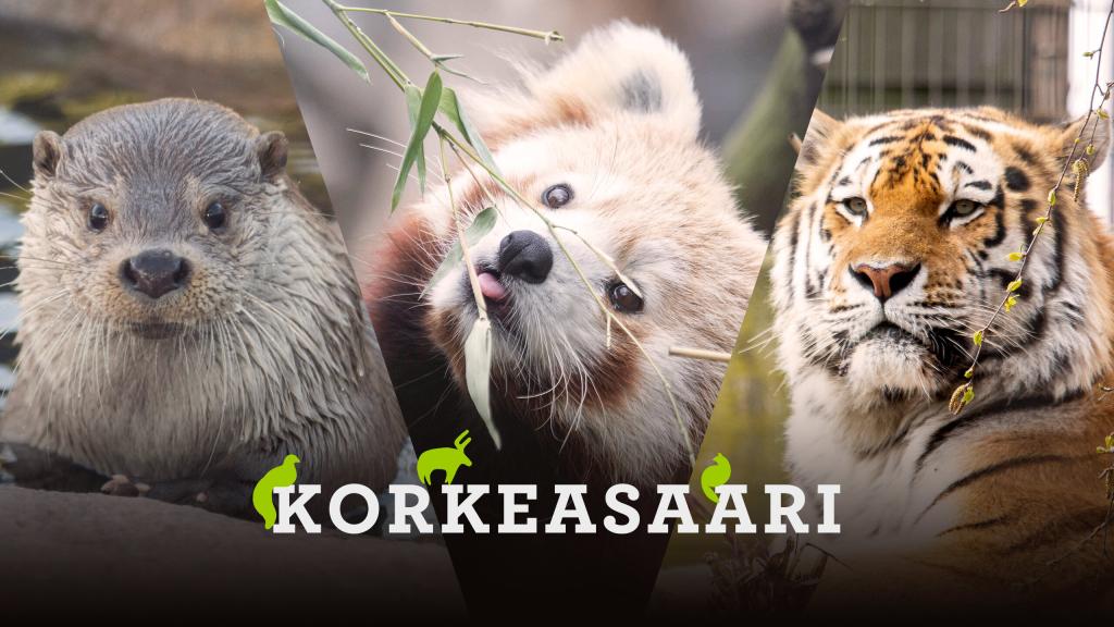 Korkeasaari | TV-lähetykset