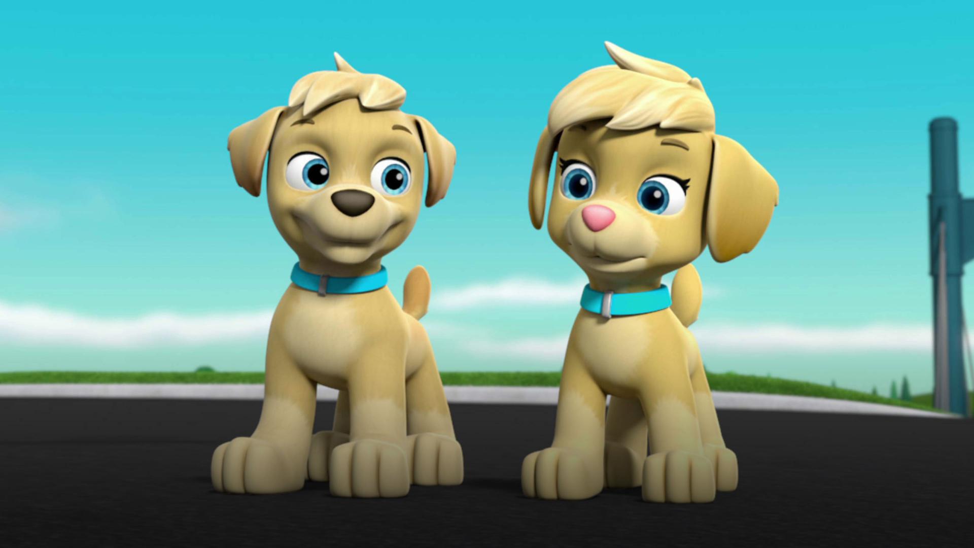 Ryhmä Hau • Kausi 6 • 12 - Mahtavat mahtipennut: Mahtikaksoset astuvat ...