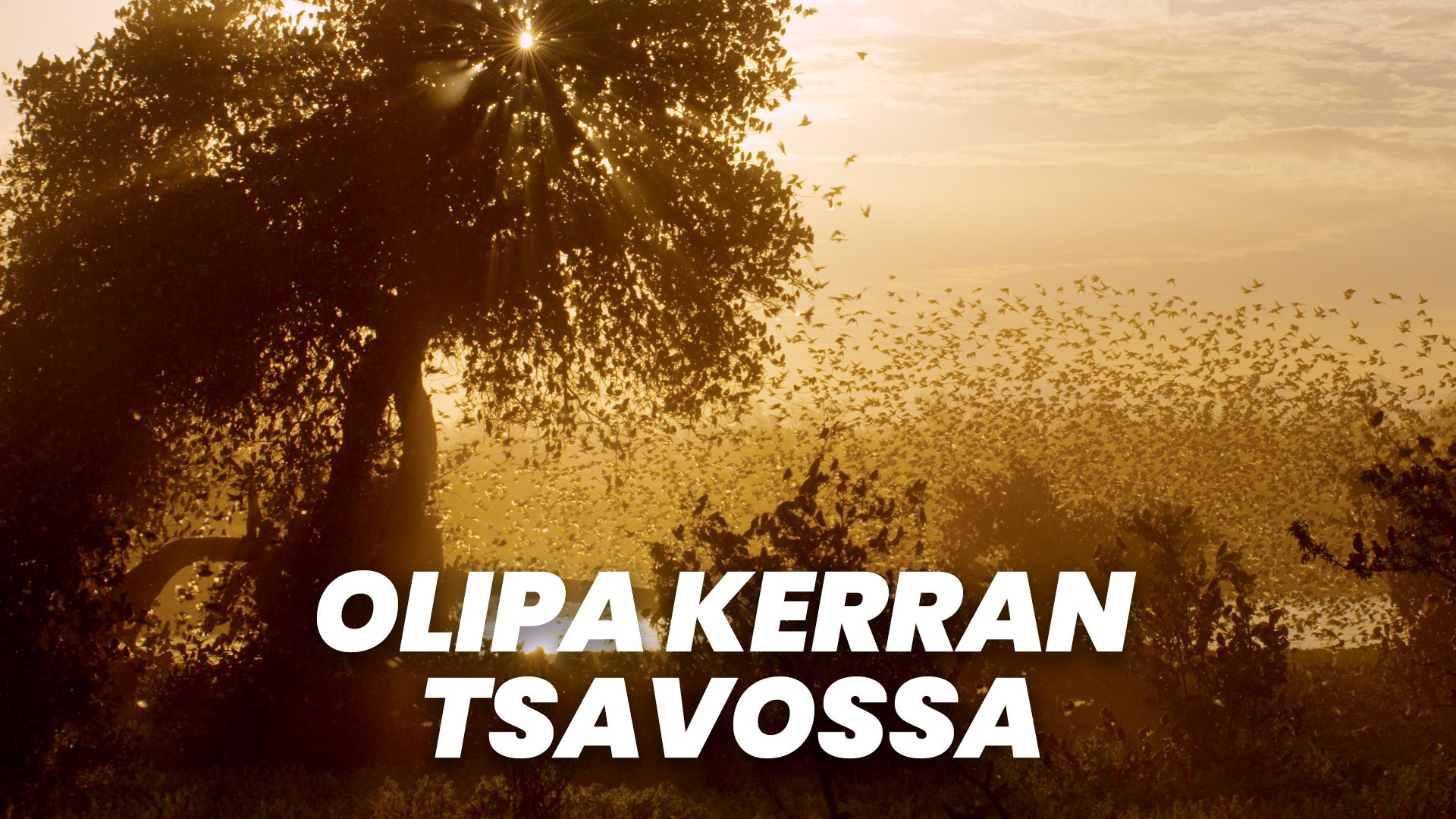 Olipa kerran Tsavossa | Ruutu