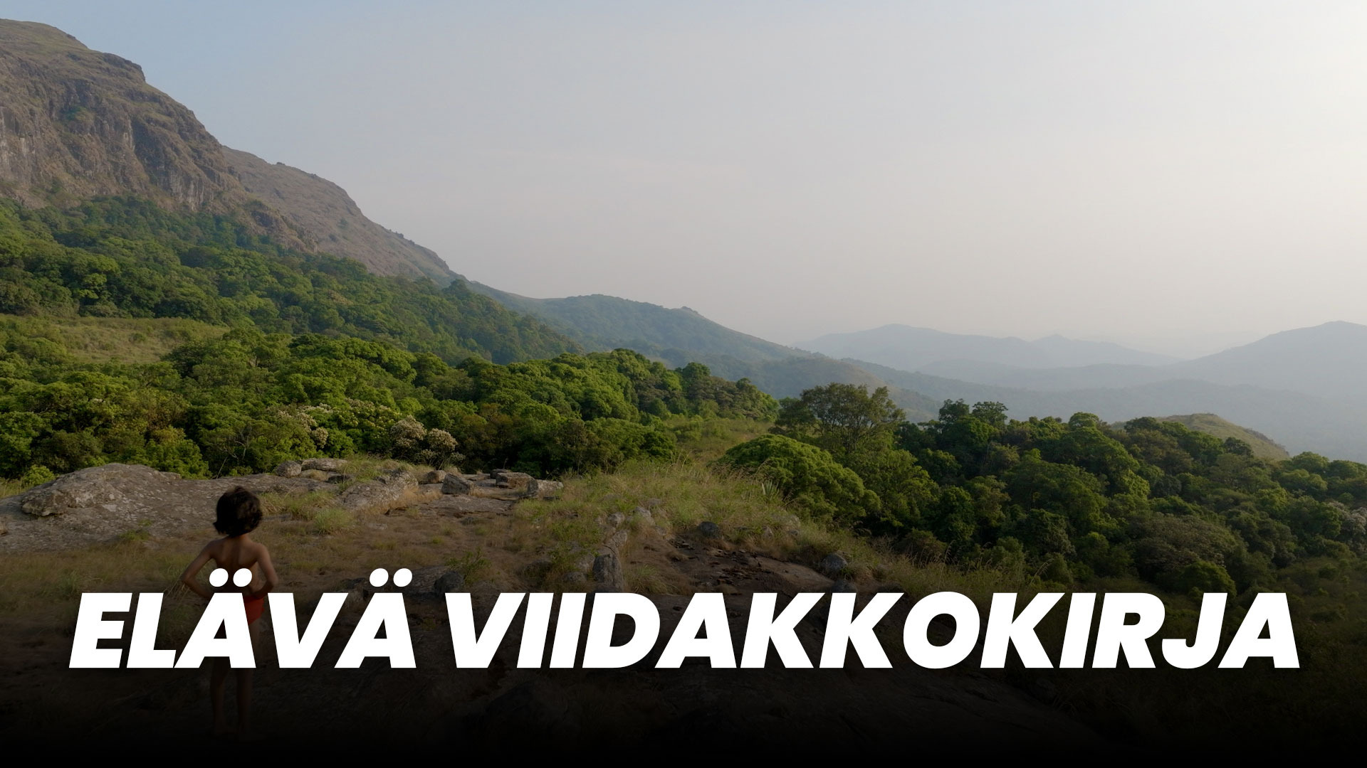 Elävä viidakkokirja | Ruutu