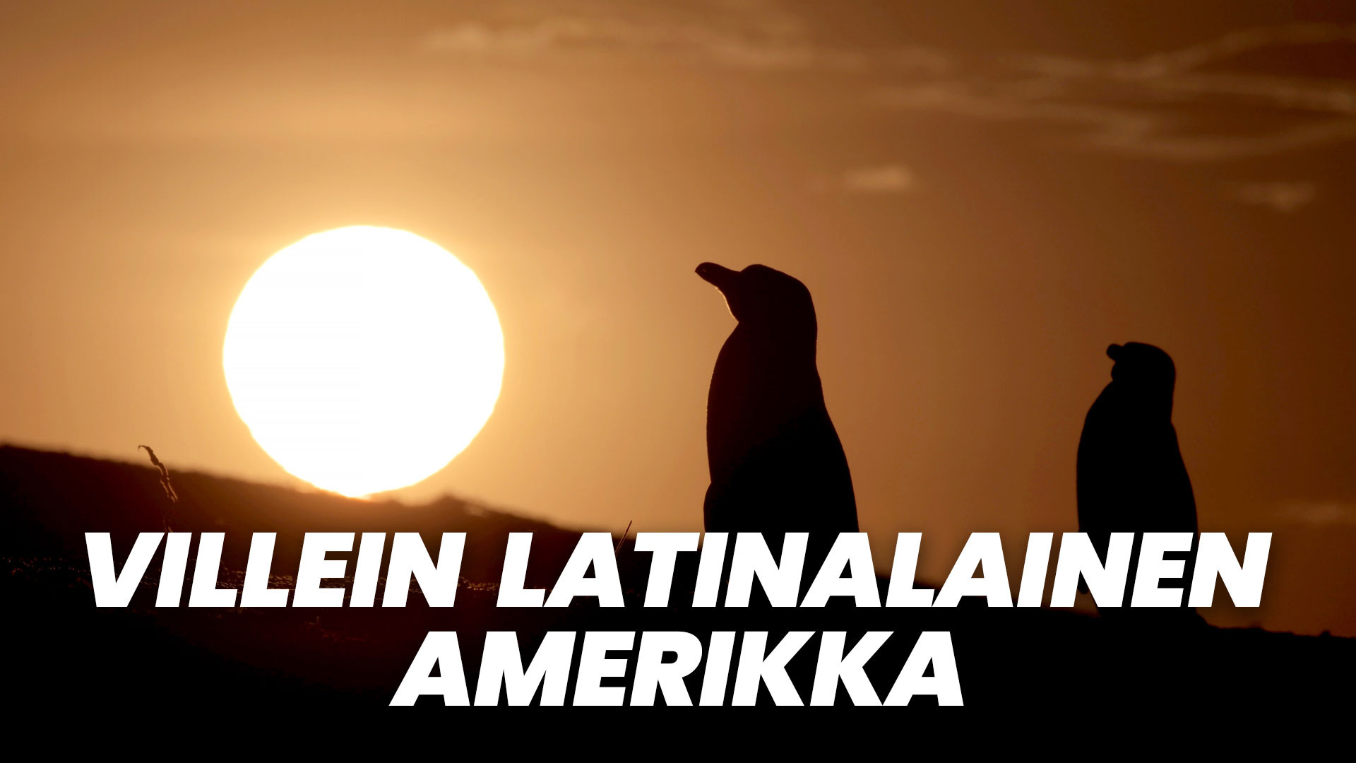 Villein latinalainen Amerikka | Ruutu