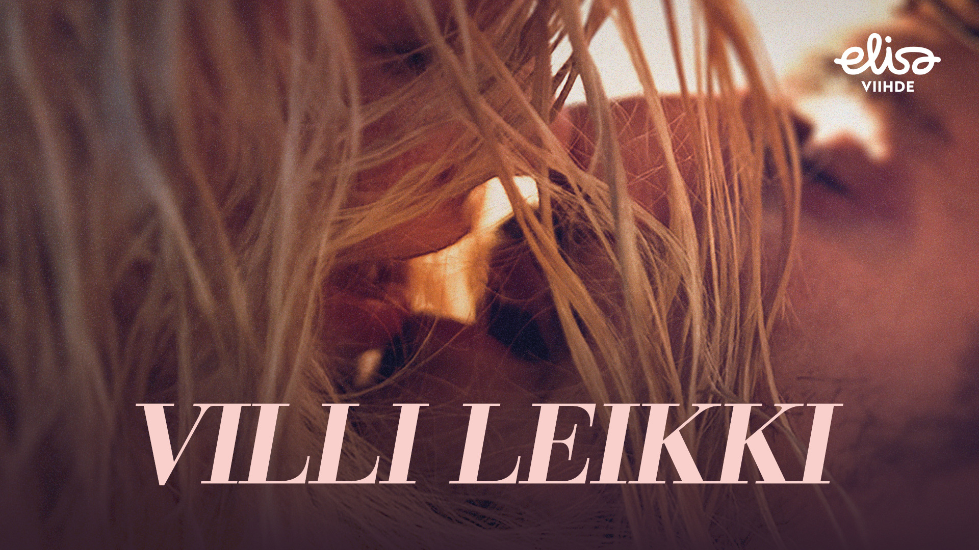 Villi leikki (16) | Ruutu