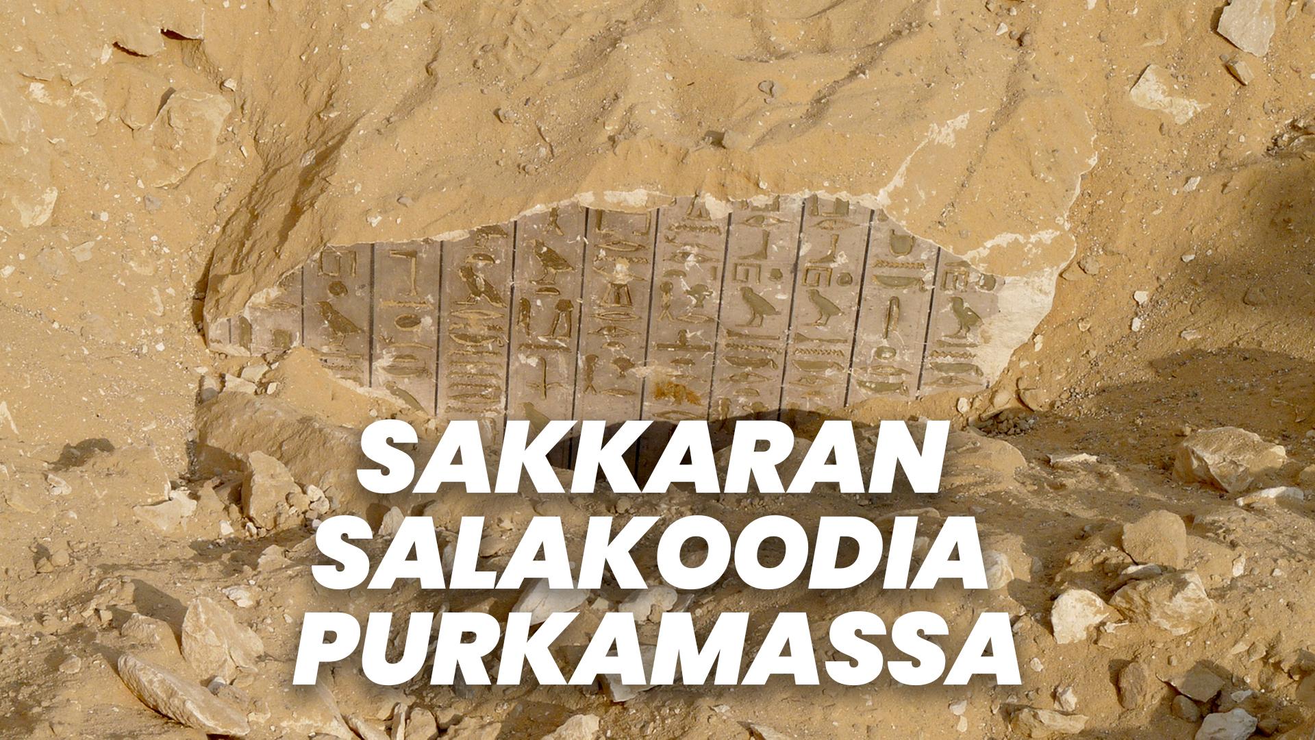 Sakkaran salakoodia purkamassa | Ruutu