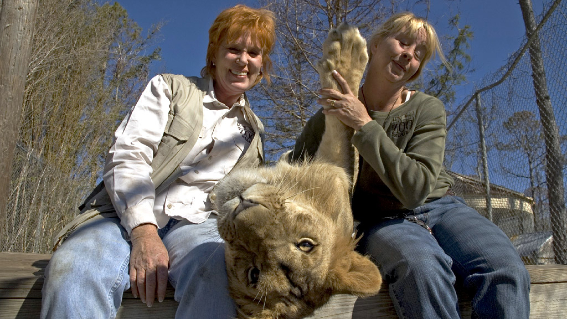 Animal Planet: Löytökoiralle koti | Ruutu