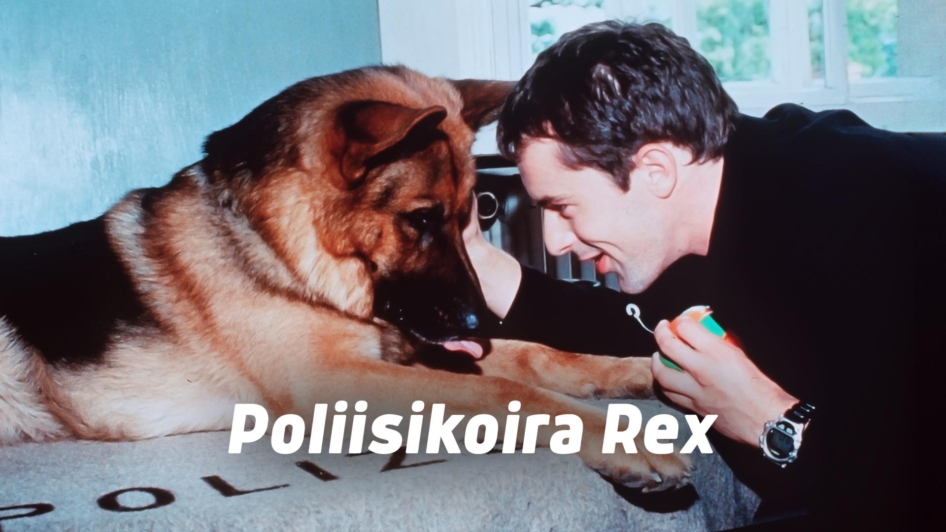 Poliisikoira Rex - Kausi 4 - Jakso 16 - Pastori vaarassa | Ruutu