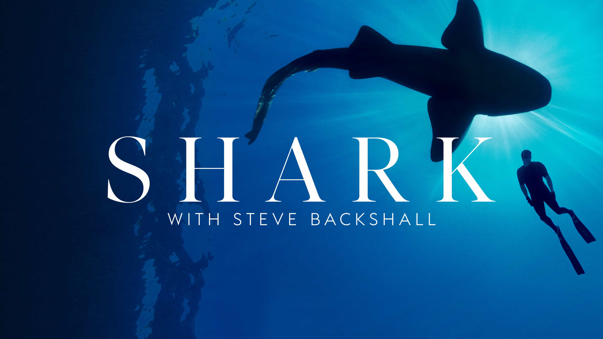 Shark with Steve Backshall | Ruutu