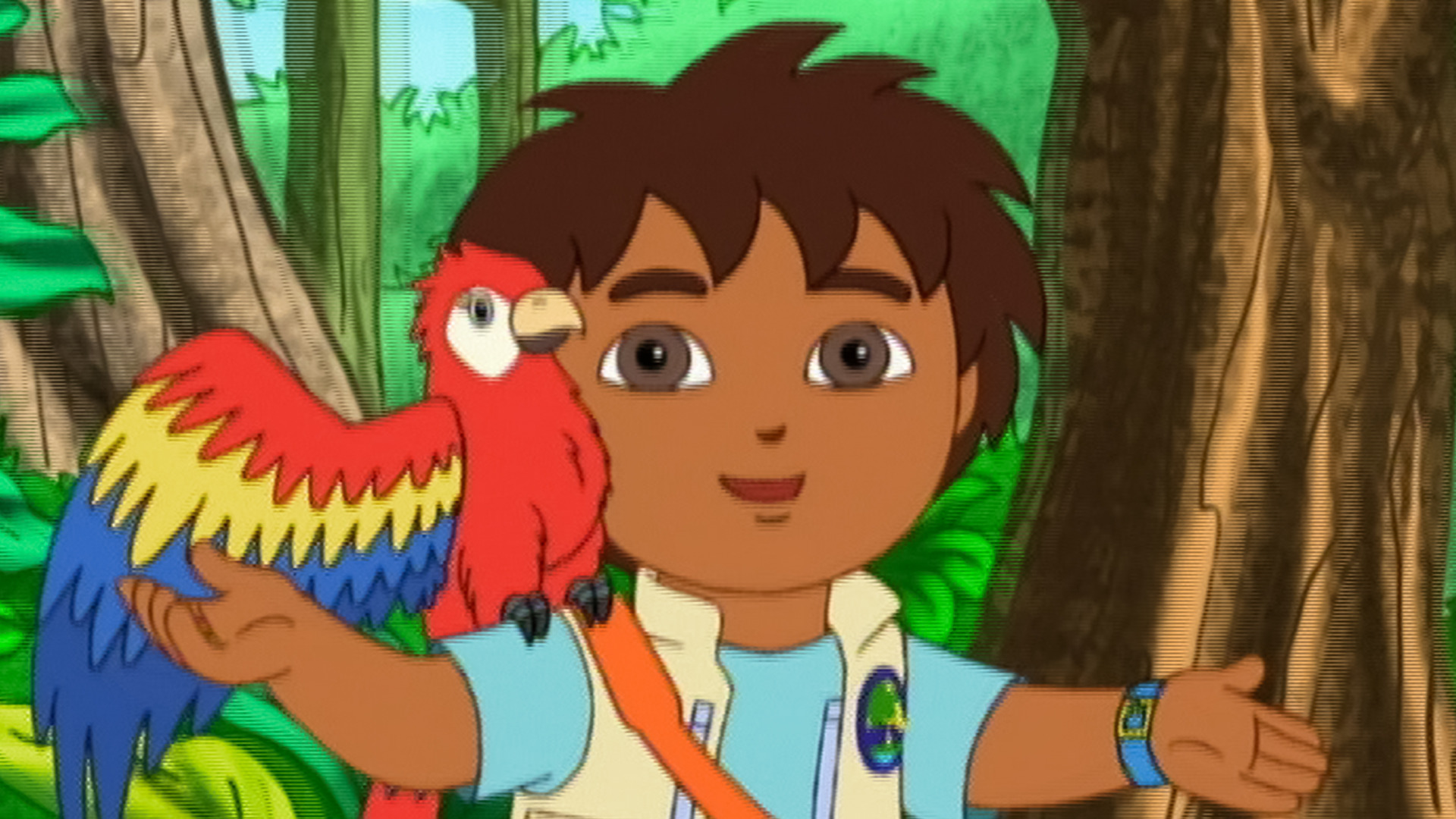 Go, Diego, Go! • Kausi 1 • 5 - The Mommy Macaw | Ruutu