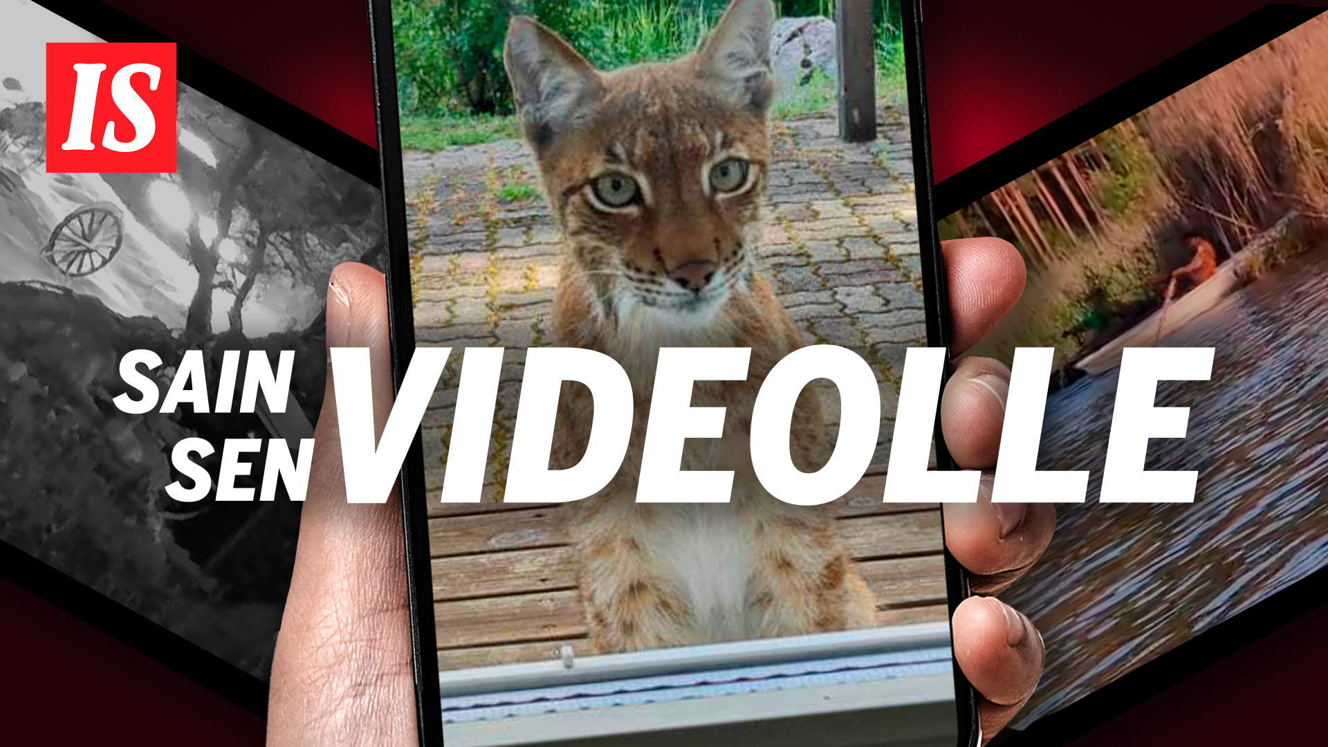 IS esittää: Sain sen videolle • Kausi 3 • 16 - IS esittää: Sain sen ...