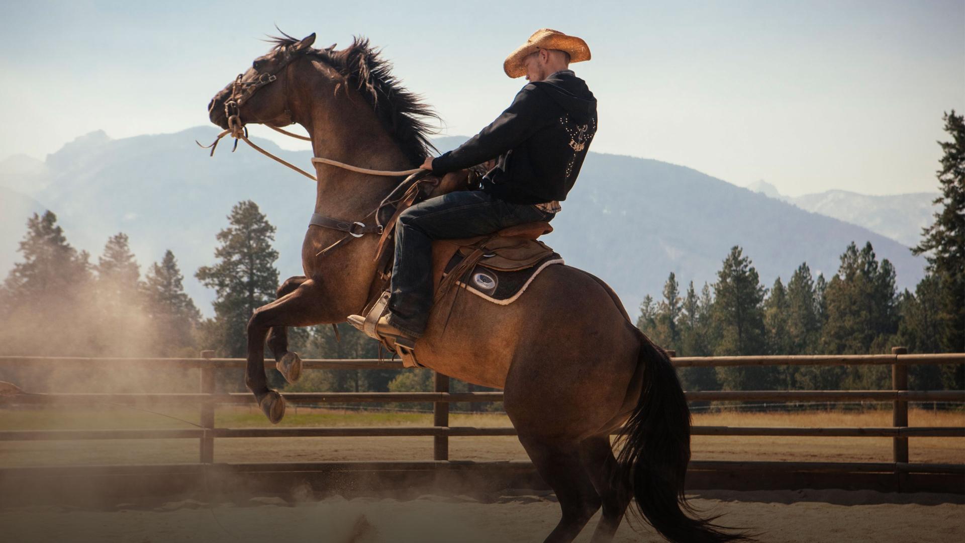 Yellowstone • Kausi 1 • 2 - Kill the Messenger | Ruutu