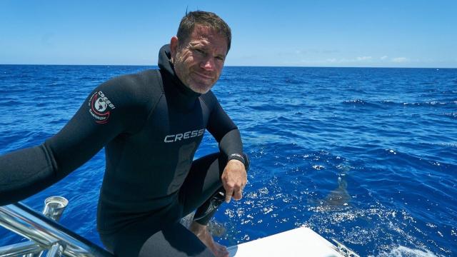 Shark with Steve Backshall | Ruutu